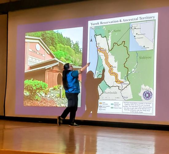 'Bring them home': Restoration efforts have condors returning to Yurok ...