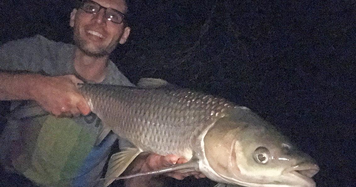 Grass carp: In pursuit of the golden ghost | Outdoors | heraldandnews.com