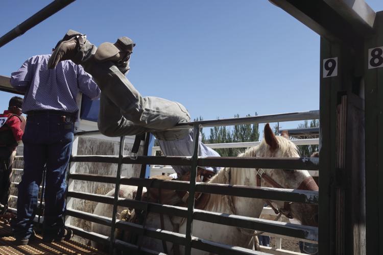 100th Lake County Round-Up and Fair sees record crowds | Local News ...