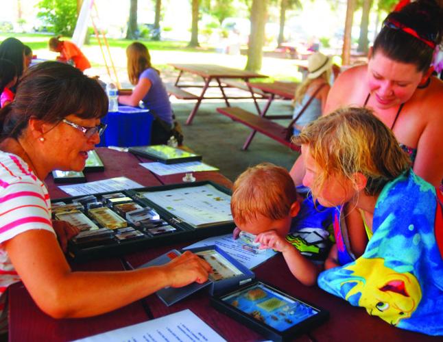 Wiard Park Spray Park Grand Opening | Gallery | heraldandnews.com