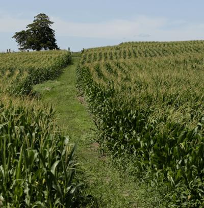 New Biden effort targets rural communities | Local News | heraldandnews.com