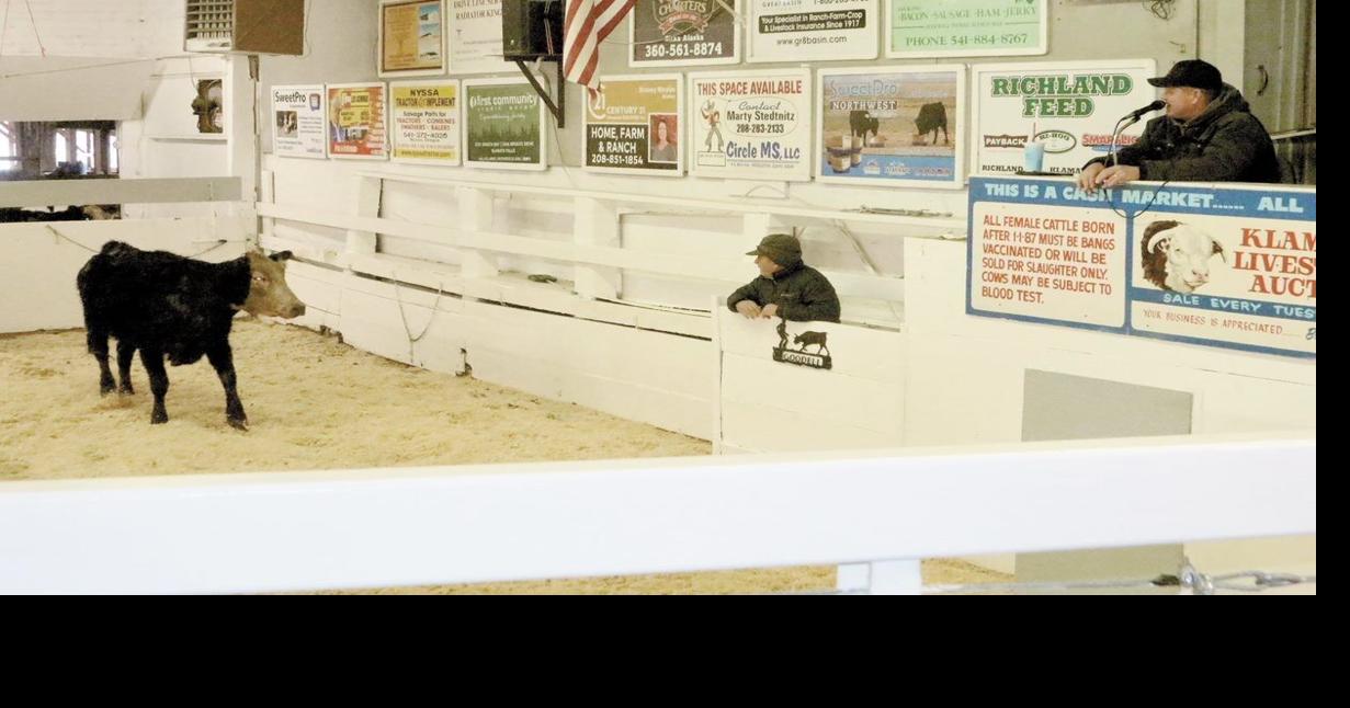 'It’s kind of a tough deal;' Livestock auction yard continues ...