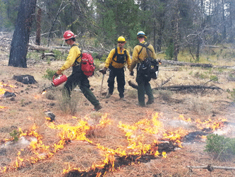Sycan Marsh undergoes prescribed burn | Environment | heraldandnews.com