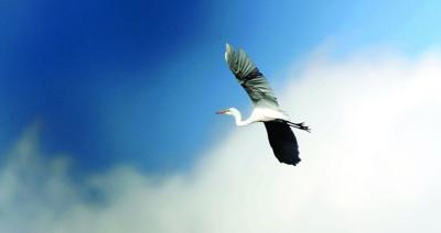 Eagle Ridge Park offers rustic, no-frills setting | News ...