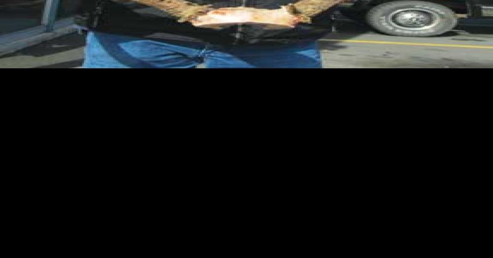 Basin’s most successful hunters rewarded | Outdoors | heraldandnews.com