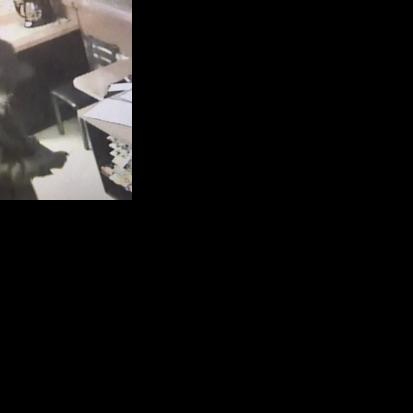 Purple Parrot robbery suspect sought | Local News | heraldandnews.com