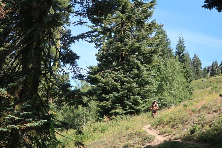 Trail magic on the PCT | Outdoors | heraldandnews.com
