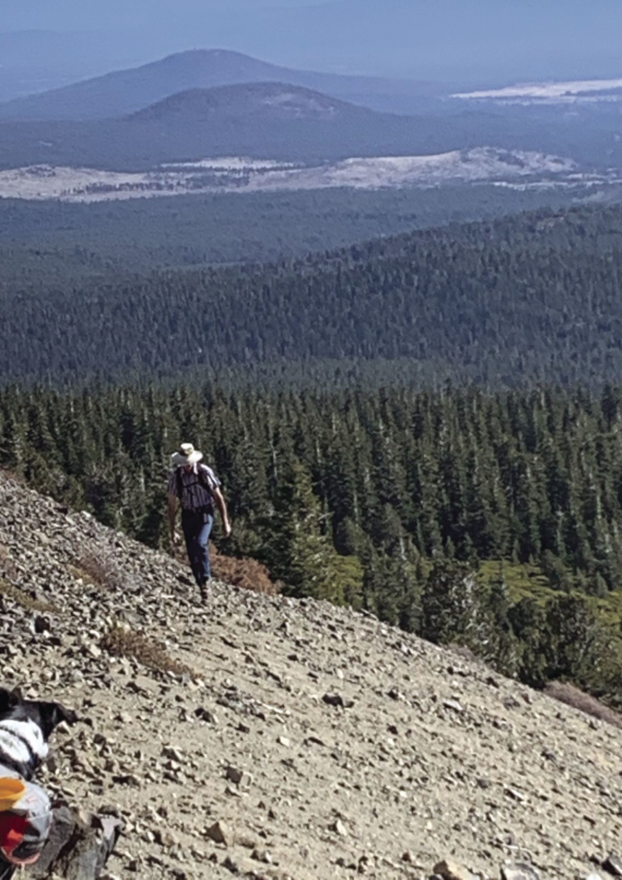 Plotting a way back: Revisiting the Goosenest | Outdoors ...
