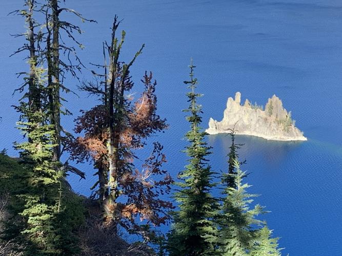 Last chance – hiking soon-to-be-closed trails at Crater Lake | Local ...