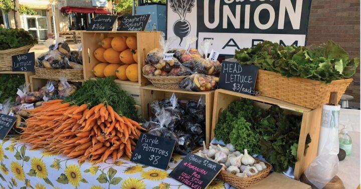 Meet Your Local Farmer: Sweet Union Farm & Maranatha Farm | Basin Ag ...
