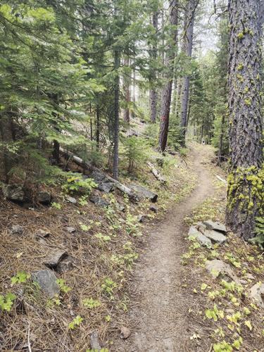 Modoc Forest could add new trails | Freeaccess | heraldandnews.com