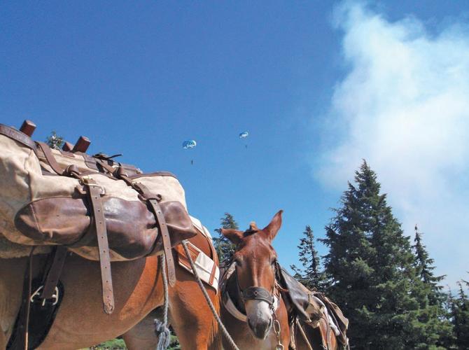 Trails reopen after fire closures | Outdoors | heraldandnews.com