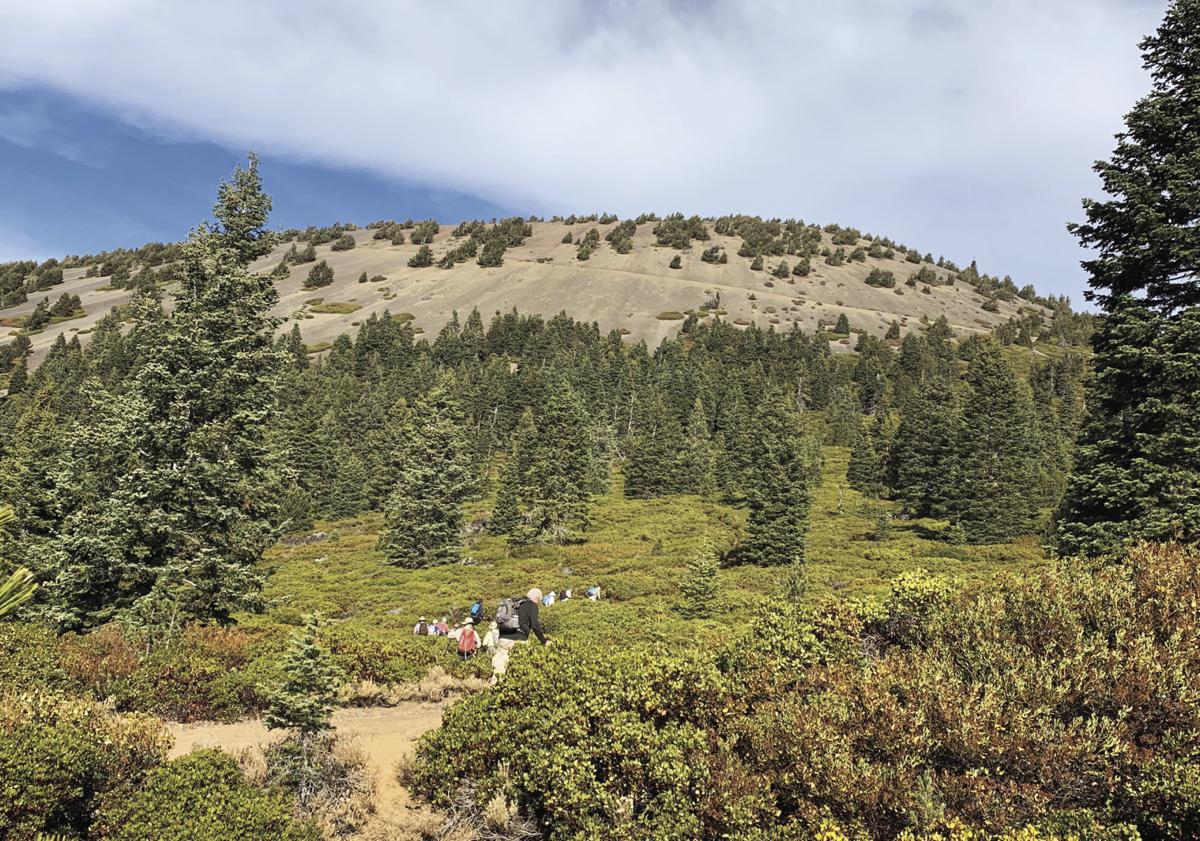 Plotting a way back: Revisiting the Goosenest | Outdoors ...
