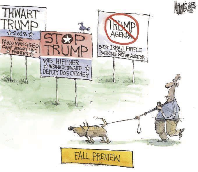 Voting against Trump | Cartoons | heraldandnews.com