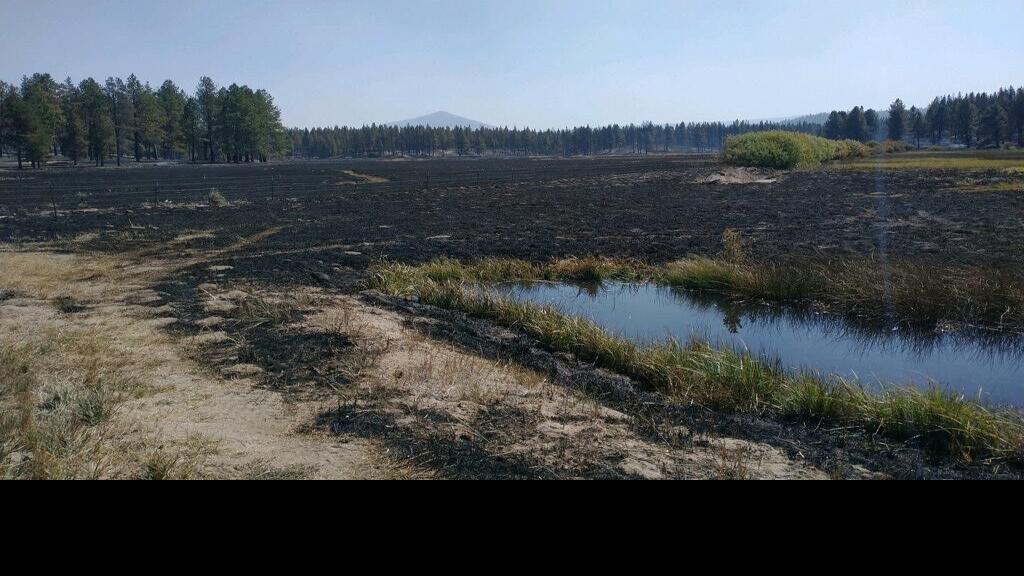 Wildfires | heraldandnews.com