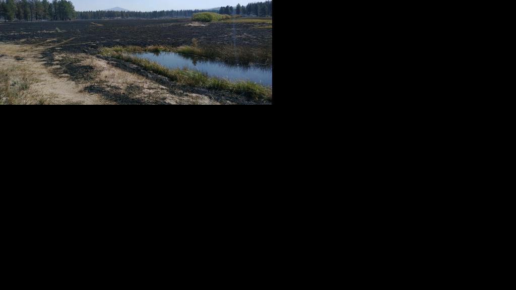 Wildfires | heraldandnews.com