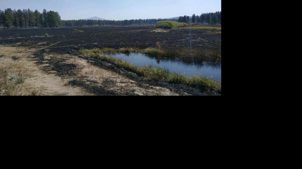 Wildfires | heraldandnews.com