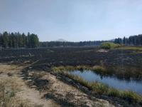 Wildfires | heraldandnews.com