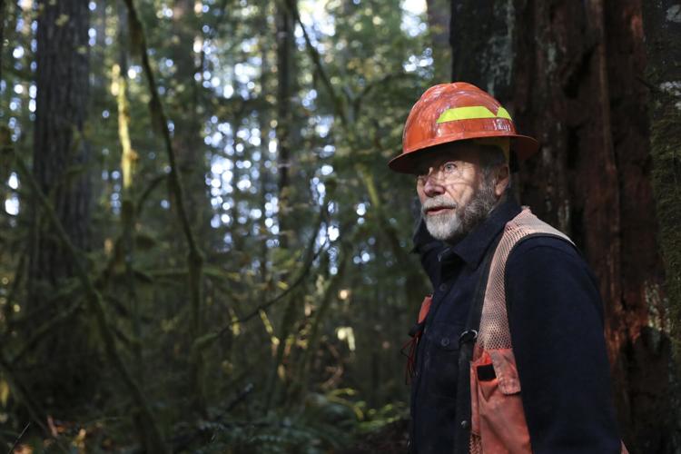 Extreme heat represents a new threat to trees and plants in the Pacific ...
