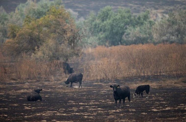 Team managing Oregon’s largest wildfire prepares to hand over the reins ...