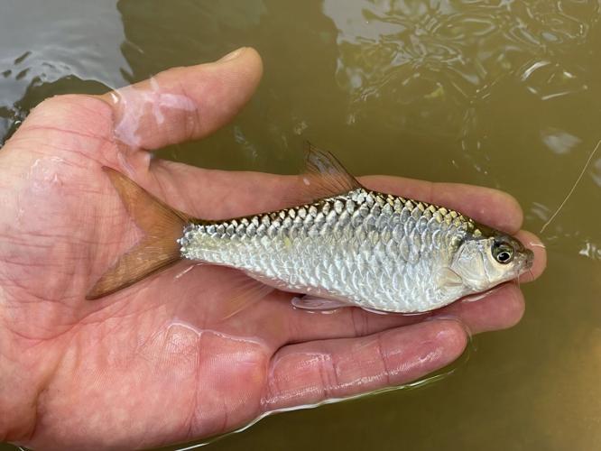 Pollution, trash in developing Kuala Lumpur stunt fishing efforts ...