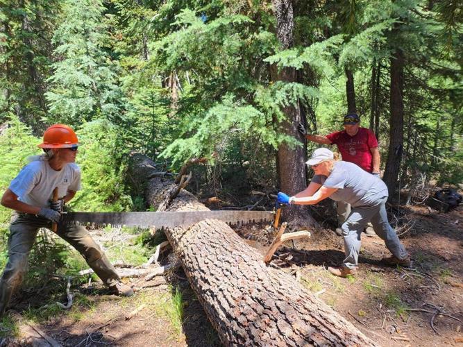 Clearing Trail – A Long Time On a Short Hike | Local News ...