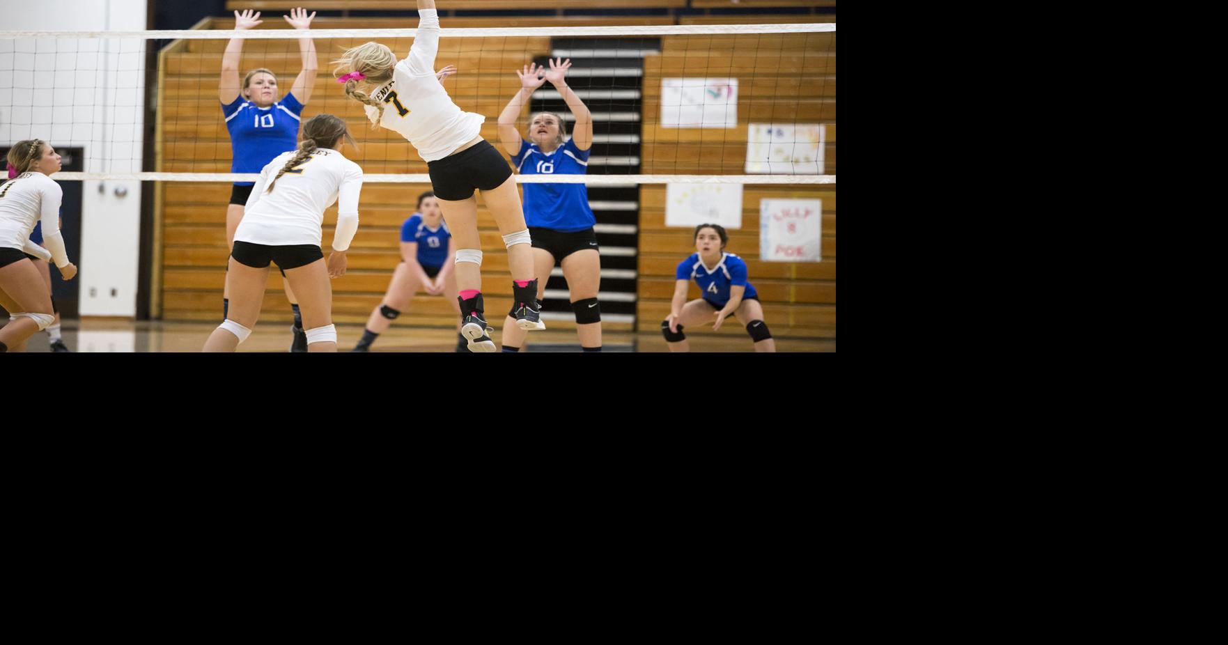 Hornets sweep Vikings, 25-12, 25-13, 25-9 | Local News | heraldandnews.com