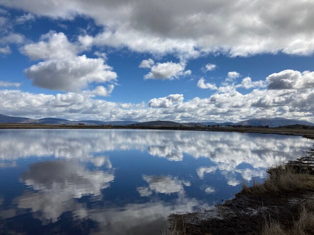 Miller Island easement, restoration a boon for Klamath Basin Wetland ...