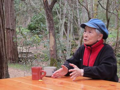 Klamath trees have ties to Hiroshima | Local News | heraldandnews.com