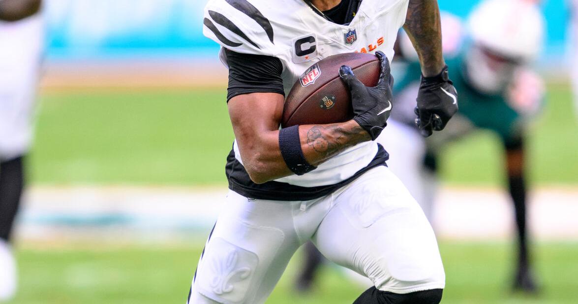 Bengals Dolphins Football | Associated Press | heraldandnews.com