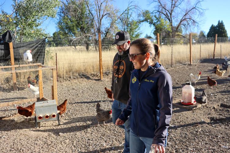 Bonanza Jr./Sr. High expands ag science program to include sheep ...