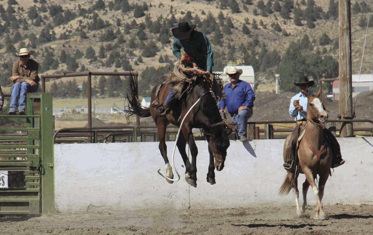 A small town rodeo with a big country soul | Local News | heraldandnews.com