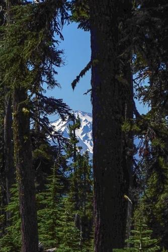 Puck Lakes is good option | Outdoors | heraldandnews.com