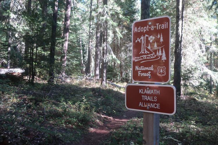 A great hike, wherever it was we went | Outdoors | heraldandnews.com