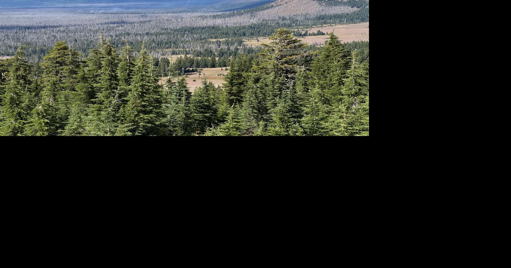 Middle Fork Fire continues to burn at Crater Lake | News ...