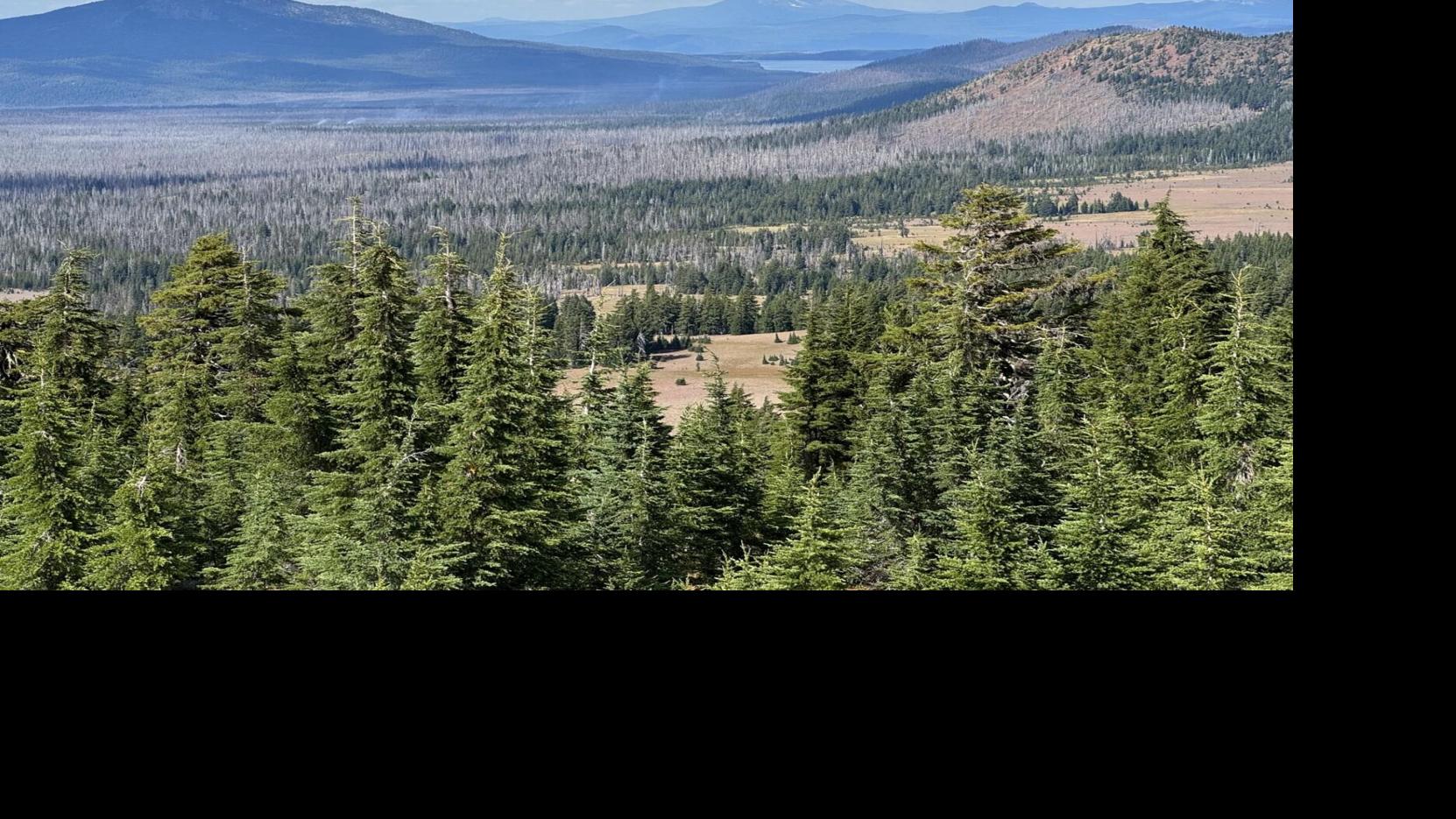 Wildfires | heraldandnews.com