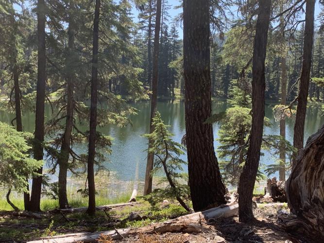 Clearing Trail – A Long Time On a Short Hike | Local News ...