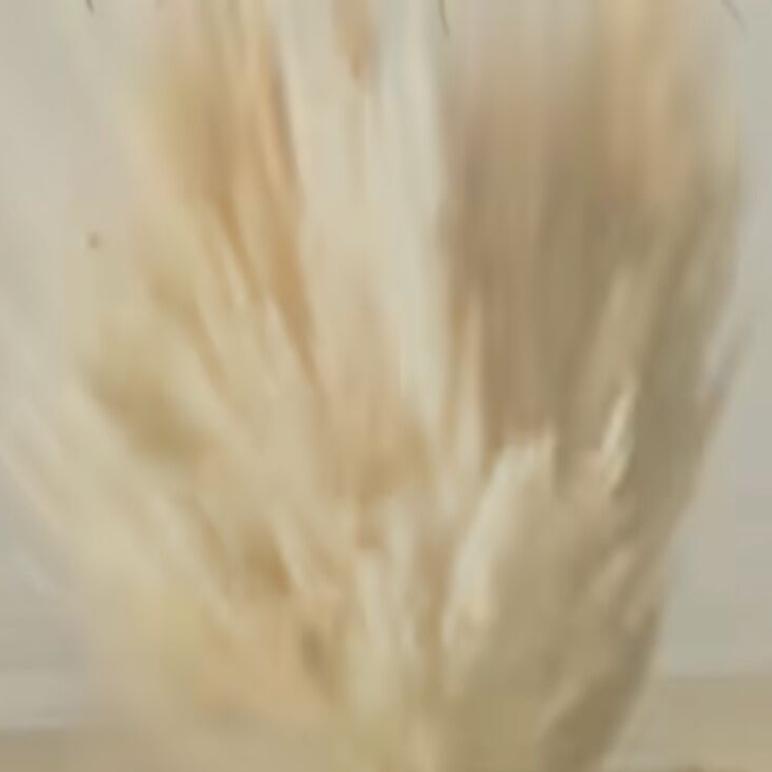 exploding whale day oregon