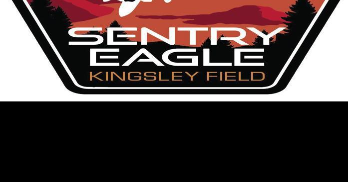 Special patch collection designed for Sentry Eagle 2020 | Local News ...