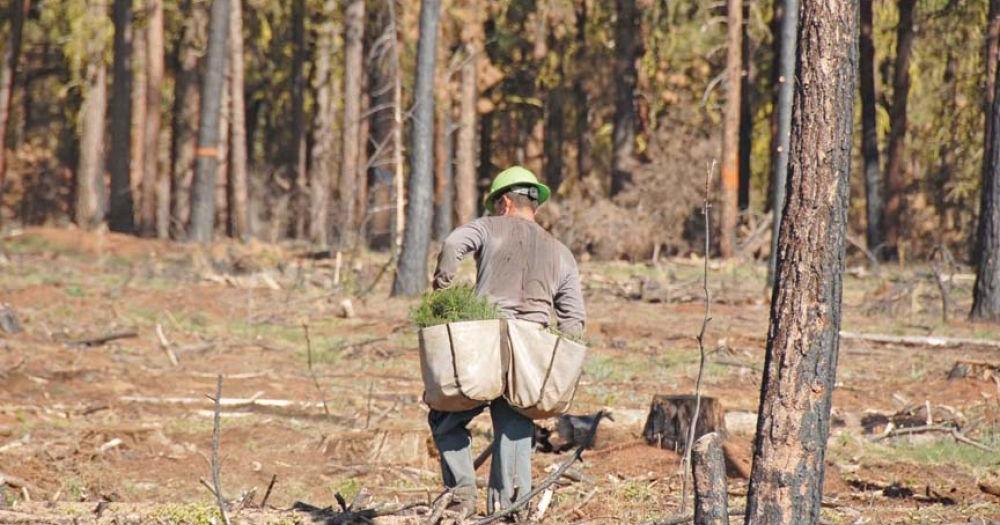 Cleanup, repair in the wake of the Barry Point Fire | Local News ...