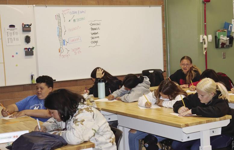 Mazama, Brixner partner to offer CTE classes to eighth-graders | News ...