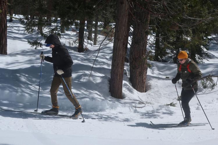 Grooming cross country skiers at the Mt. Shasta Nordic Center ...