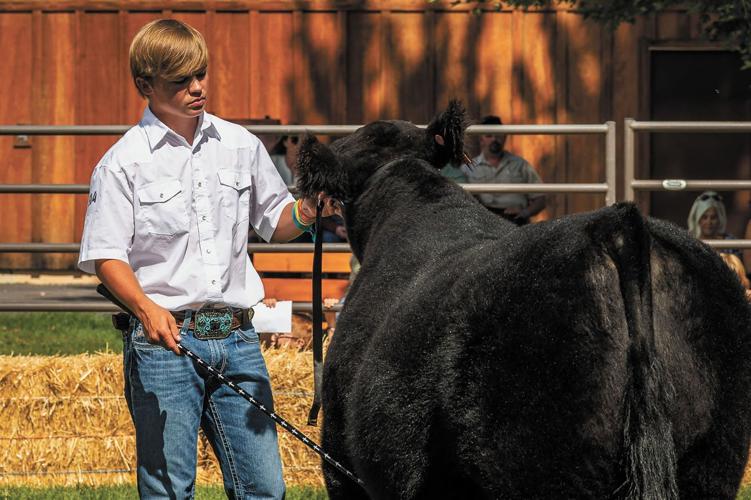 Where the countryside meets the carnival at Tulelake Butte Valley Fair ...