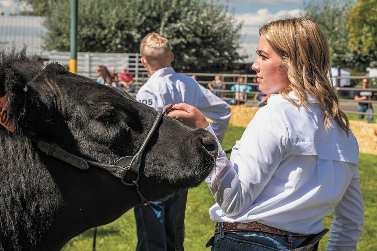 Where the countryside meets the carnival at Tulelake Butte Valley Fair ...
