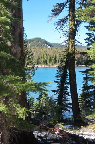 Revisting Puck Lakes | Outdoors | heraldandnews.com
