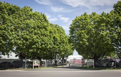 Coronavirus outbreak hits Oregon's Townsend Farms | Oregon ...