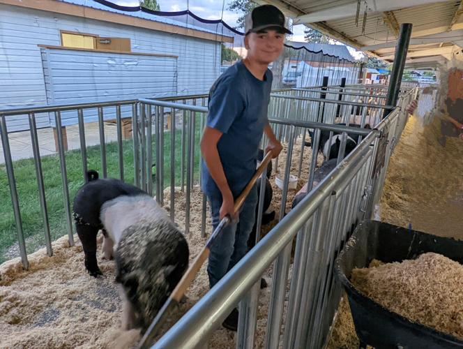 It’s showtime at the 2023 Tulelake-Butte Valley Fair | News ...