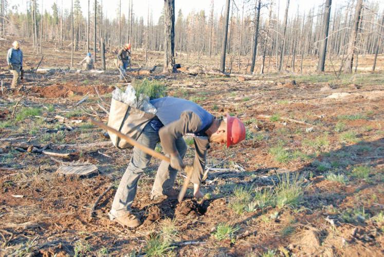 Cleanup, repair in the wake of the Barry Point Fire | Local News ...