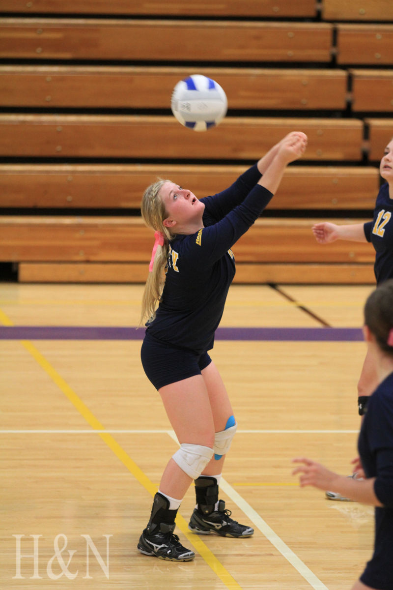 Newport at Henley volleyball | Gallery | heraldandnews.com