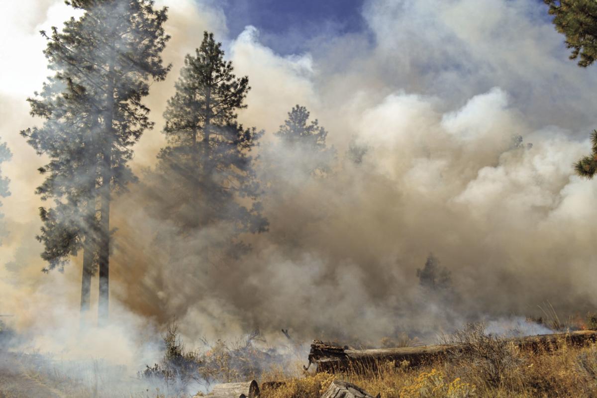 Burning for wildlife: Bear Valley prescribed fire improves habitat ...